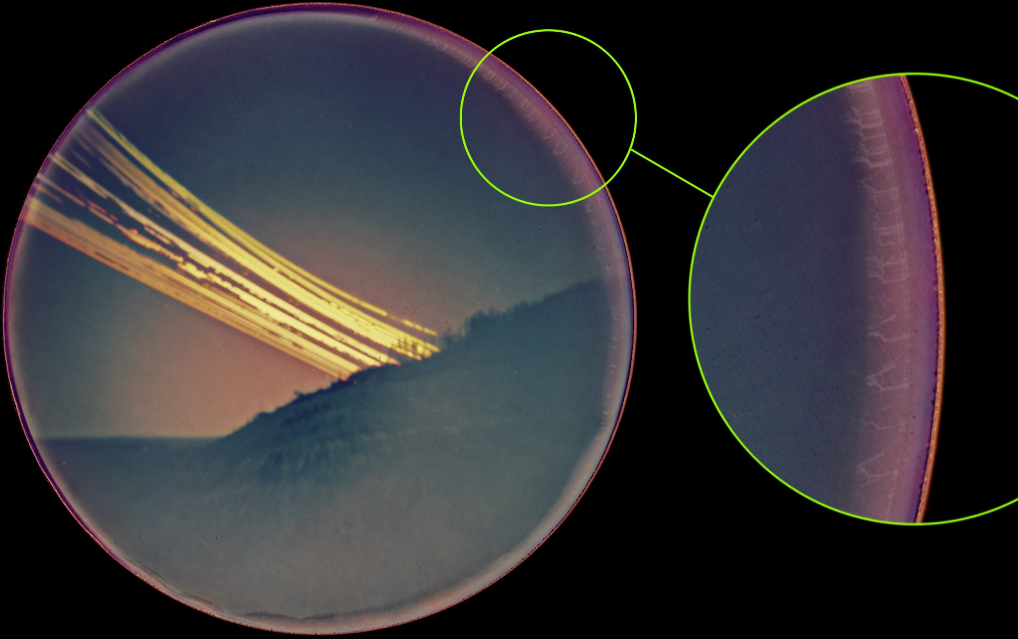 PUCK reload pack of 9 LASER exposures – Solarcan